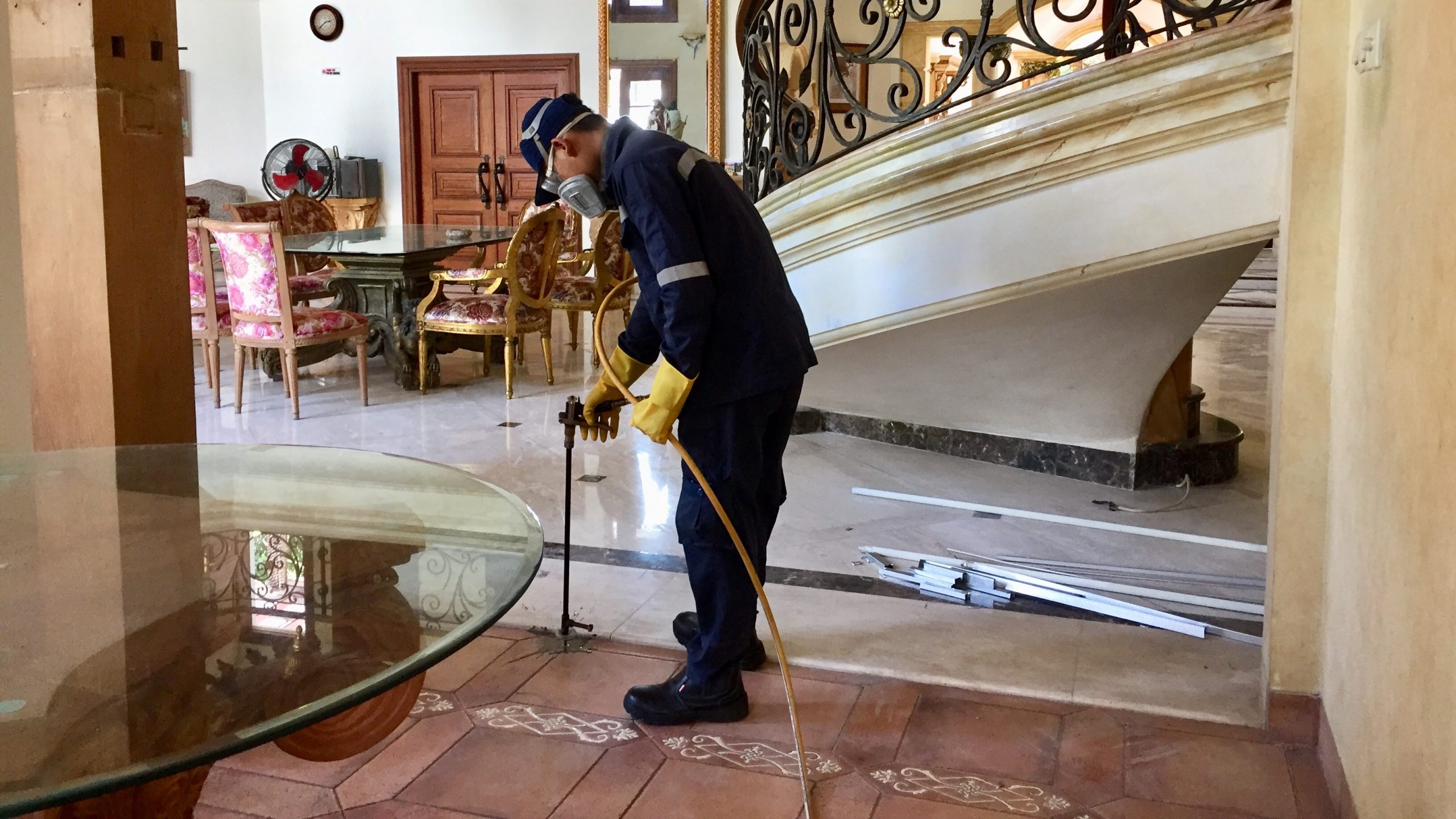 Pest Control Bali - Geotermix
