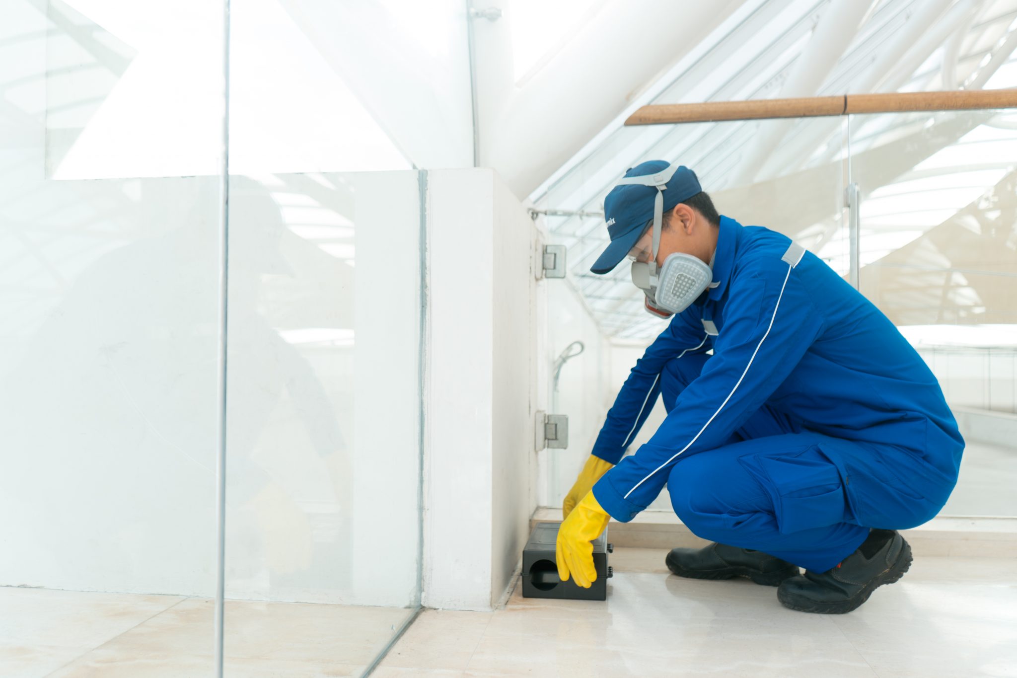 Pest Control Bali - Geotermix
